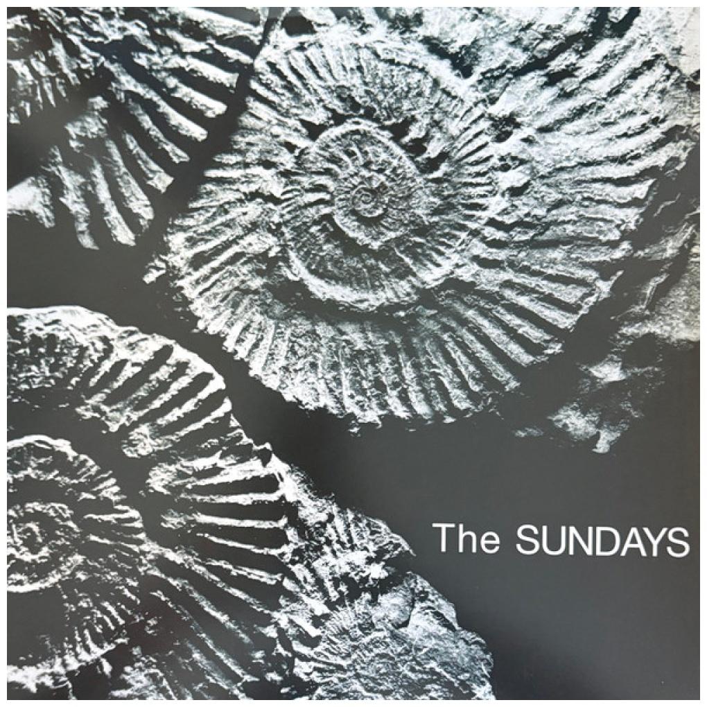 SUNDAYS - READING, WRITING & ARITHMETIC | VINILO – Hitway Music & Books ...